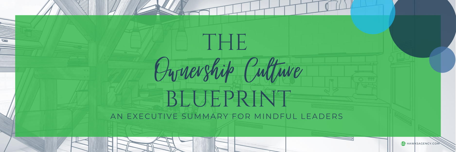 Ownership Culture Blueprint Access - Hawks Agency